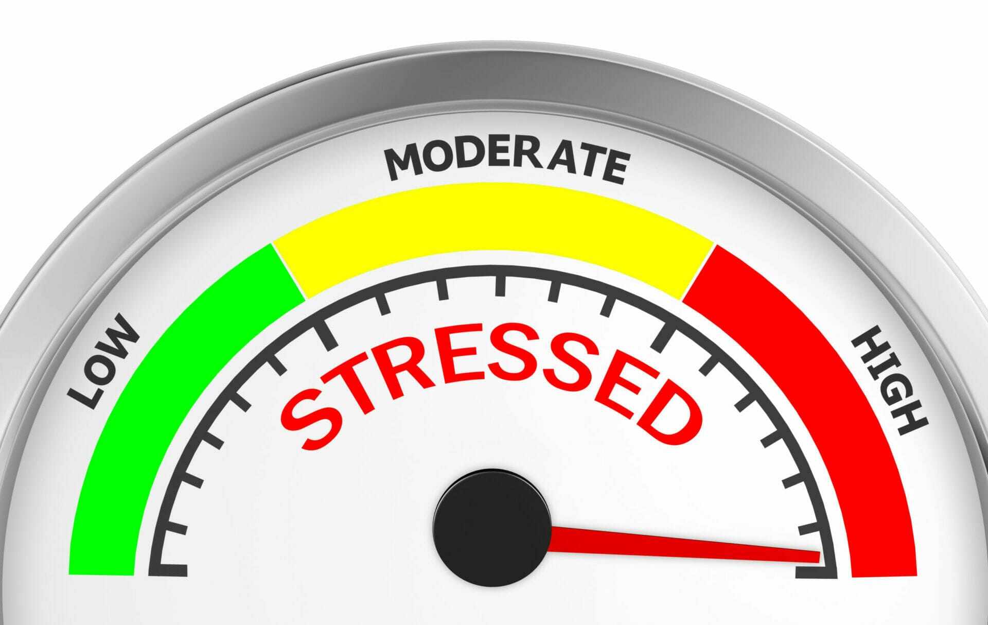 E-360 Edition 29: Epilepsy, Memory and Stress - Epilepsy Action Australia